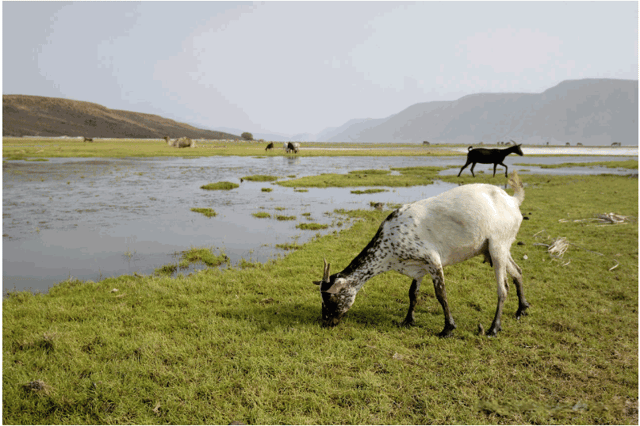 Essential Attractions in Djibouti